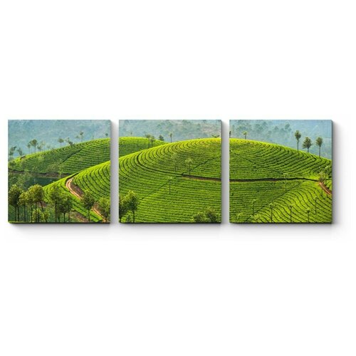 Модульная картина Красота зеленых полей 170x57
