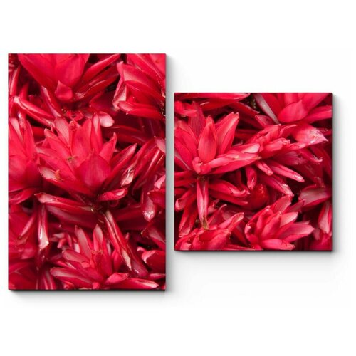 Модульная картина Красные тропические цветы100x75