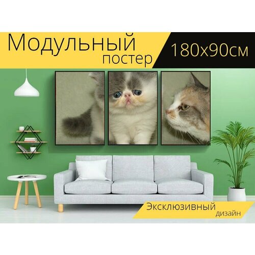 Модульный постер "Животное, кошка, щенок" 180 x 90 см. для интерьера