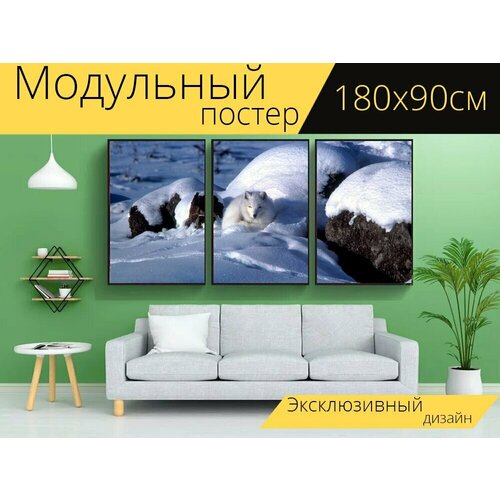 Модульный постер "Арктический, лиса, животное" 180 x 90 см. для интерьера
