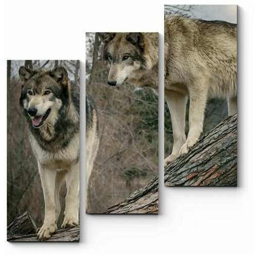 Модульная картина Волки в осеннем лесу 70x75