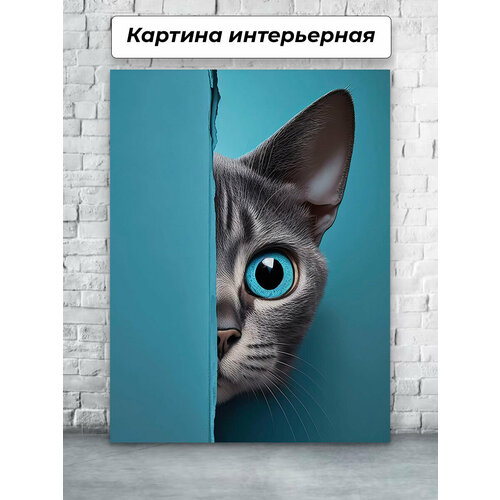 Картины для интерьера 50х70 Кошка серая выглядывает ухо глаз