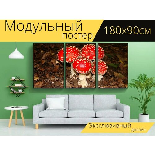 Модульный постер "Грибы, мухомор, лес" 180 x 90 см. для интерьера