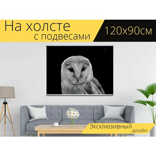 Картина на холсте "Сарай, сова, птица" с подвесами 120х90 см. для интерьера