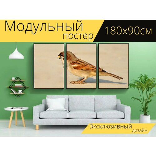 Модульный постер "Воробей, птица, птицы" 180 x 90 см. для интерьера