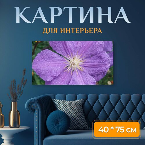 Картина на холсте "Фіолетова квітка, квіти, цветы" на подрамнике 75х40 см. для интерьера