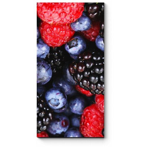 Модульная картина Сладкие ягоды 40x80