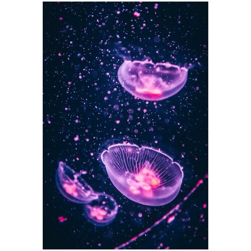 Постер / Плакат / Картина Сиреневые медузы 50х70 см в подарочном тубусе