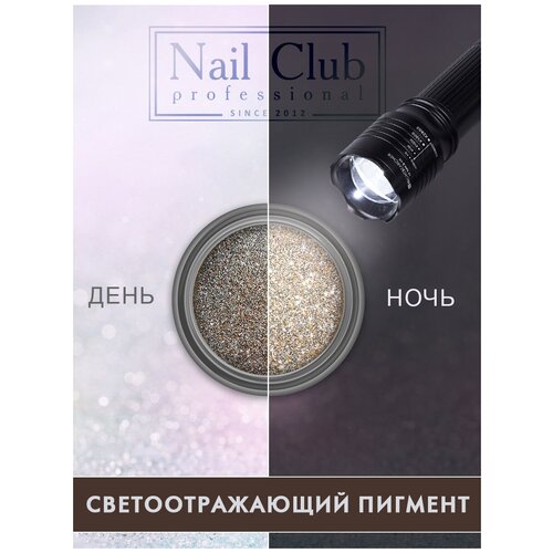 Nail Club professional Светоотражающий пигмент для ногтей Reflex Moon, 1 шт.