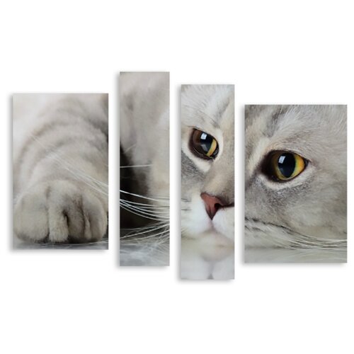 Модульная картина на холсте "Грустный котик" 120x82 см