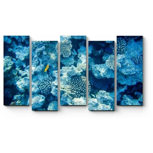 Модульная картина Коралловые рифы 120x69