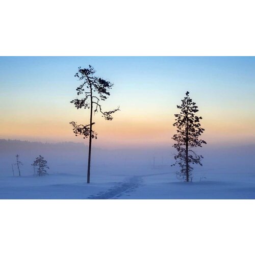 Картина на холсте 60x110 Альянс Лес "Деревья утро снег зима" на подрамнике / интерьер/ декор