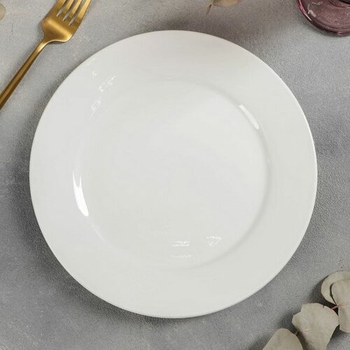 Тарелка фарфоровая обеденная с утолщённым краем White Label, 300 мл, d=22.9 см, цвет белый