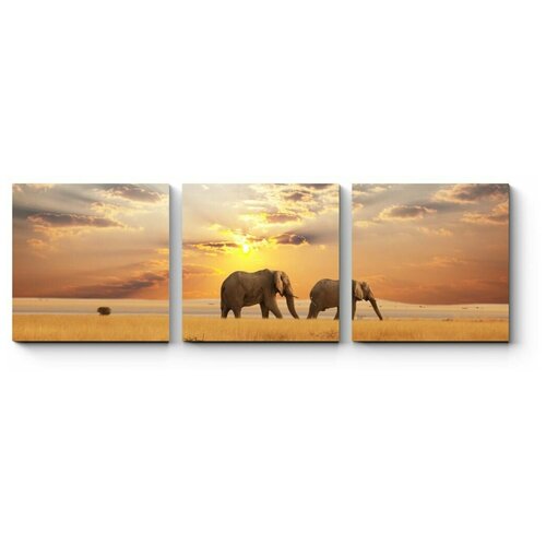 Модульная картина Вечерняя прогулка счастливой пары100x33