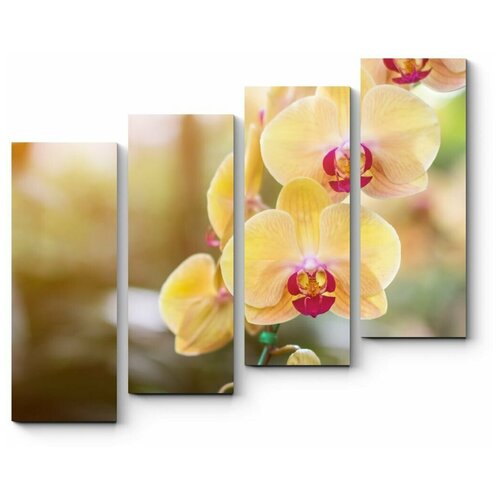 Модульная картина Чарующая орхидея 100x86