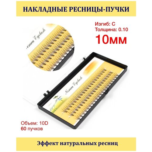 NESURA / 10D / Накладные пучки ресниц / 10 мм, 0.1, изгиб С, 10Д, для макияжа и визажиста