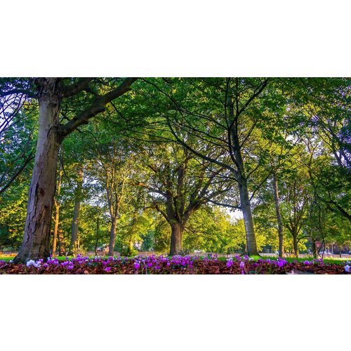 Картина на холсте 60x110 Альянс Лес "Цветы London England парк" на подрамнике / интерьер/ декор