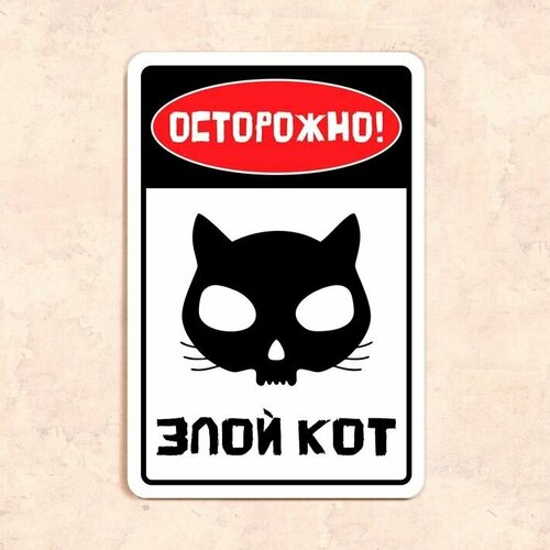 Табличка "Осторожно, злой кот", 20х30 см, УФ-печать, ПВХ