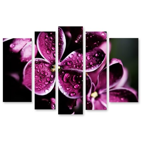 Модульная картина на холсте "Фиолетовая страсть" 90x64 см