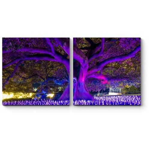Модульная картина Фестиваль света, Сидней 70x35