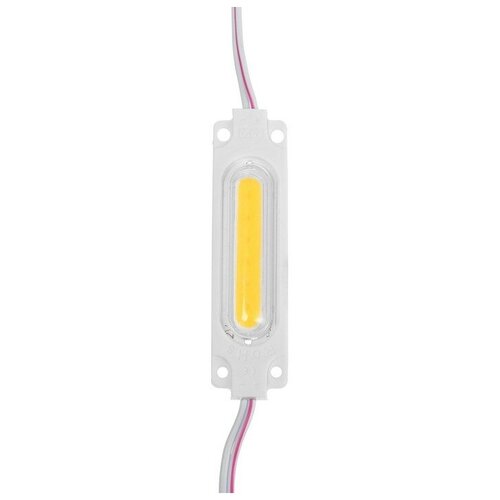 Светодиодная лента Ecola PRO, 12В, SMD3528, 5 м, IP20, 4.8Вт/м, 60 LED/м, 6000К 5501892