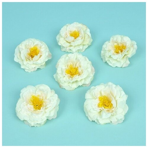 Искусственные цветки английской розы белые, 8 см, 6 шт. в упаковке, для декора