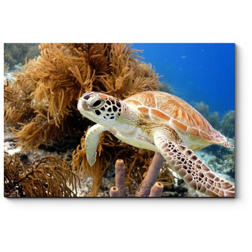 Модульная картина Черепаха, плывущая в коралловом рифе 90x60