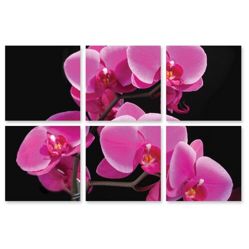 Модульная картина на холсте "Орхидеи" 90x31 см