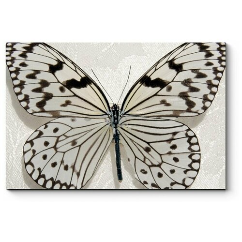 Модульная картина Черно-белая бабочка 50x33