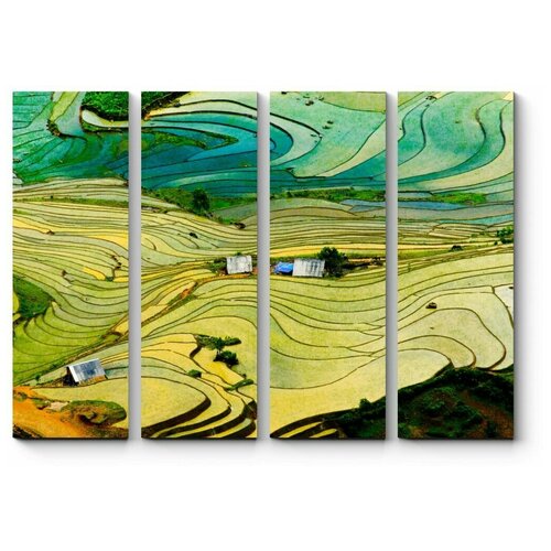Модульная картина Рисовые поля в провинции Вьетнама 90x68