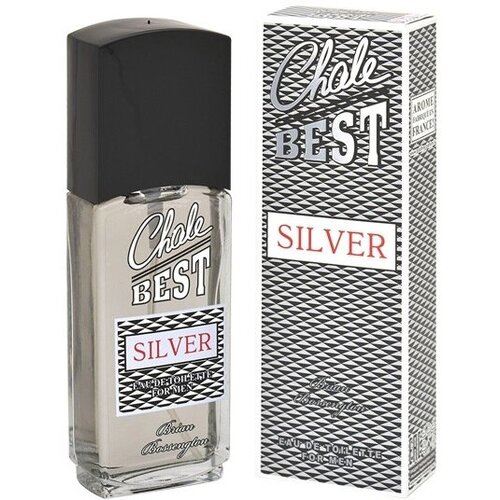 Positive Parfum men (brian Bossengton) Chale Best - Silver Туалетная вода 95 мл.