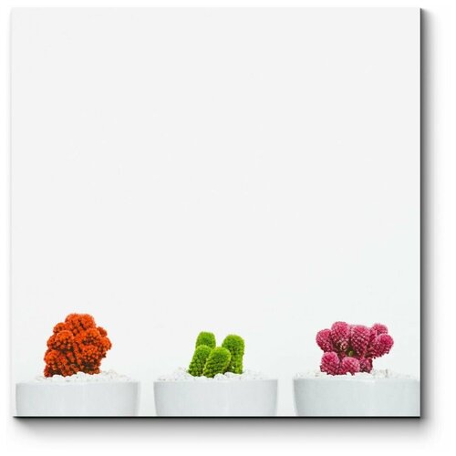Модульная картина Разноцветные кактусы60x60