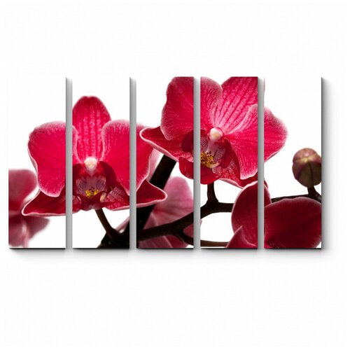 Модульная картина Магия орхидей 120x72