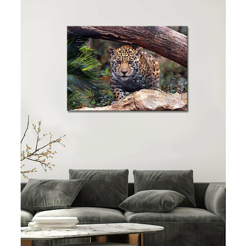 Картина/Ягур/Ягуар в джунглях/Ягуар на дереве/Черный ягуар/ - Ягуар (36) 50х70