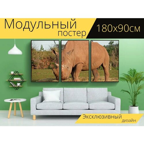 Модульный постер "Белый носорог, носорог, млекопитающее" 180 x 90 см. для интерьера