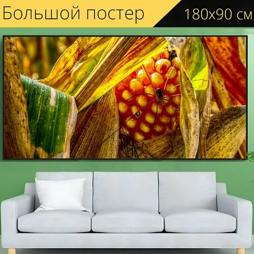 Большой постер "Кукуруза, кукуруза в початках, паук" 180 x 90 см. для интерьера
