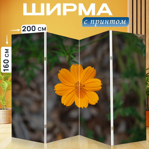 Ширма перегородка с принтом "Оранжевый цветок, цветок, апельсин" на холсте - 200x160 см. для зонирования, раскладная