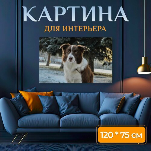 Картина на холсте "Собака, фото, животное" на подрамнике 120х75 см. для интерьера