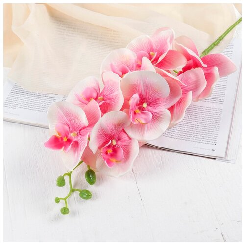 Цветы искусственные "Орхидея Изящная" 10х100 см, розовый