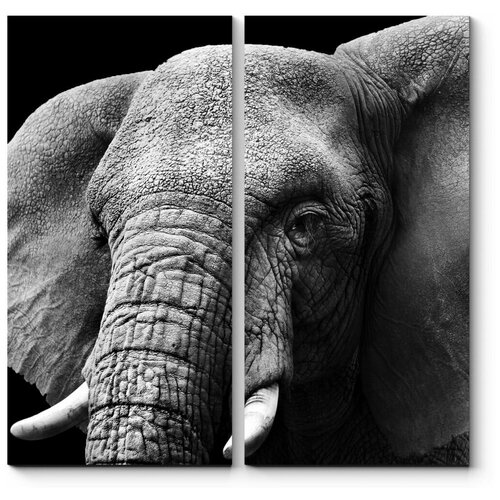 Модульная картина Портрет слона90x90