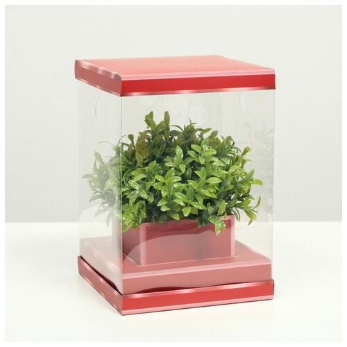 Коробка для цветов с вазой и PVC окнами складная, красный, 16 х 23 х 16 см