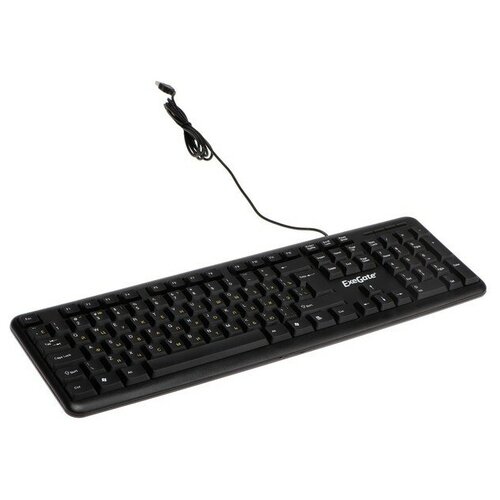 Клавиатура ExeGate Professional LY-405, проводная, мембранная, 105 клавиши, USB, чёрная
