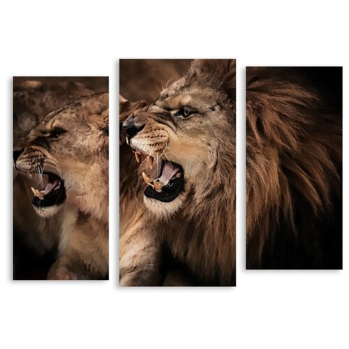 Модульная картина на холсте "Разъяренные львы" 120x89 см