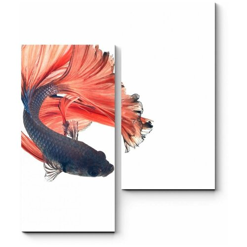 Модульная картина Роскошная рыба 60x75