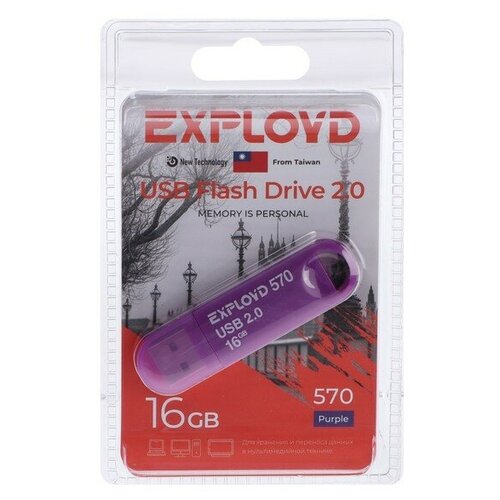 Флешка Exployd 570, 16 Гб, USB2.0, чт до 15 Мб/с, зап до 8 Мб/с, фиолетовая