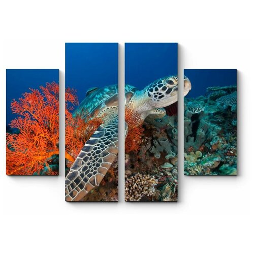 Модульная картина Морская черепаха в кораллах120x90