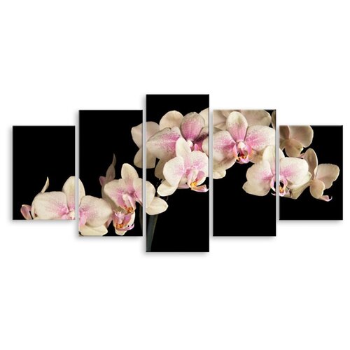 Модульная картина на холсте "Орхидеи" 170x85 см