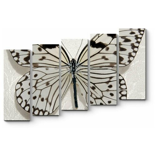 Модульная картина Черно-белая бабочка 150x105