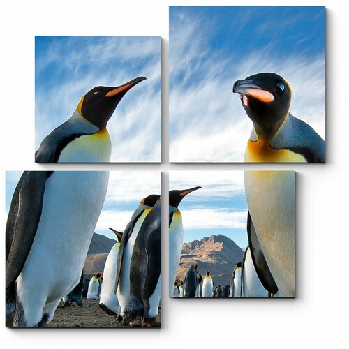 Модульная картина Любопытные пингвины 50x50