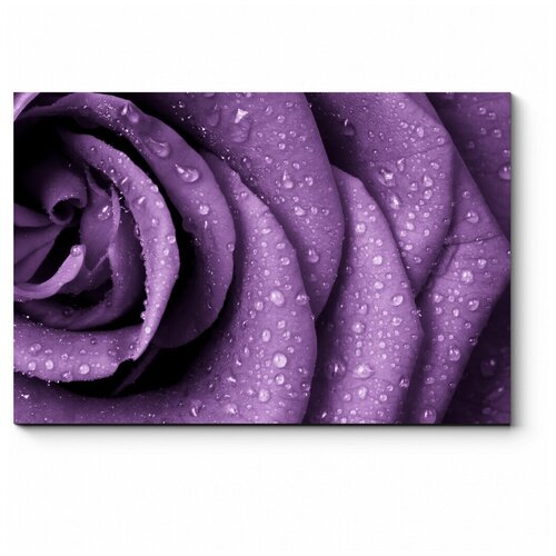 Модульная картина Фиолетовая роза 120x80